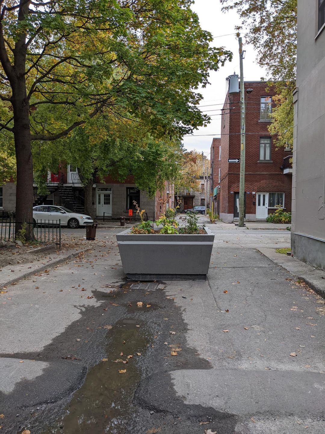 [Pétition] pétition contre la fermeture de la ruelle au sud de Gilford ...